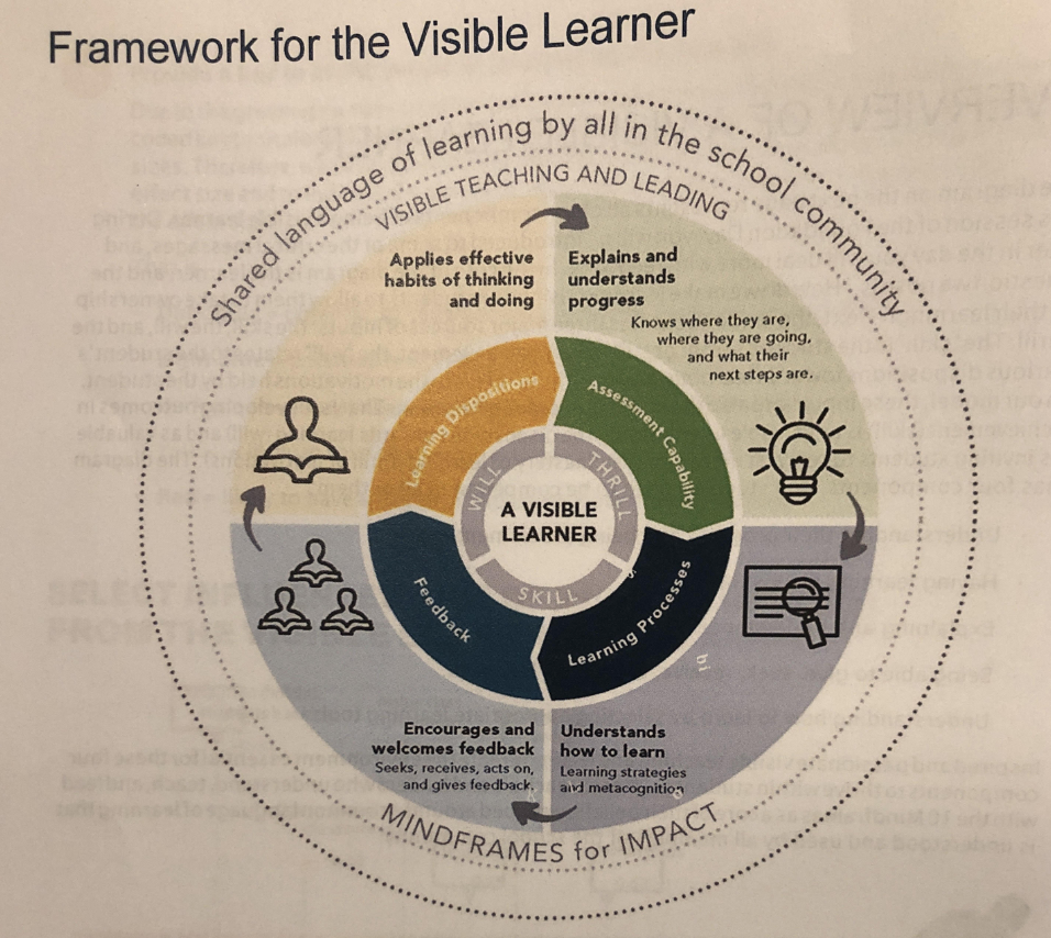 Visible Learning Institute – Ashley Taplin